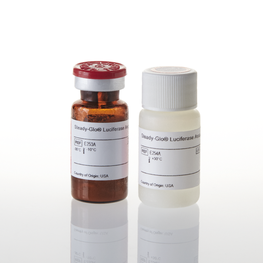 Steady-Glo Luciferase Assay System Nerliens Meszansky AS